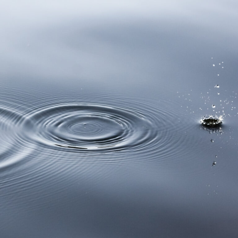 How Our Sins Ripple Out, Touching the Whole World - Word on Fire