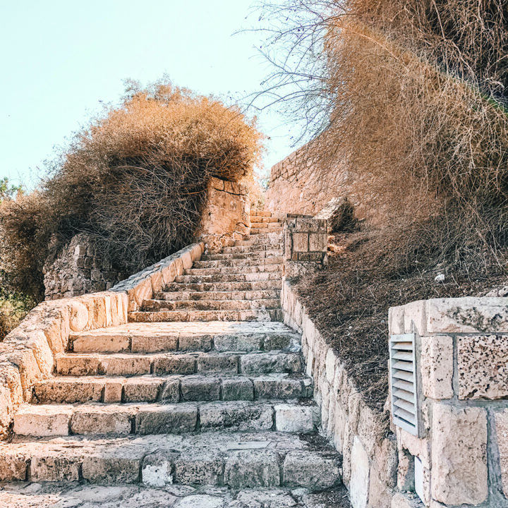 Anna the Prophetess, and the Temple Spark - Word on Fire