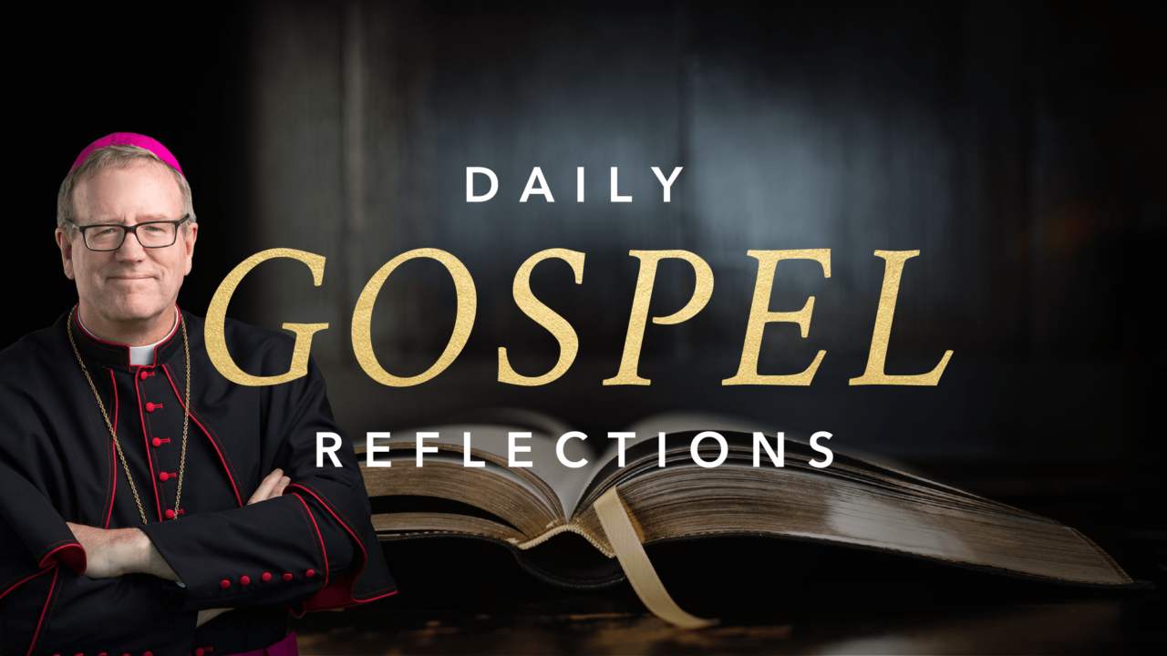 Bishop Barron