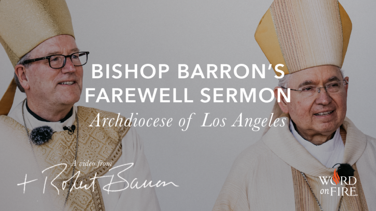 Homily - Word on Fire