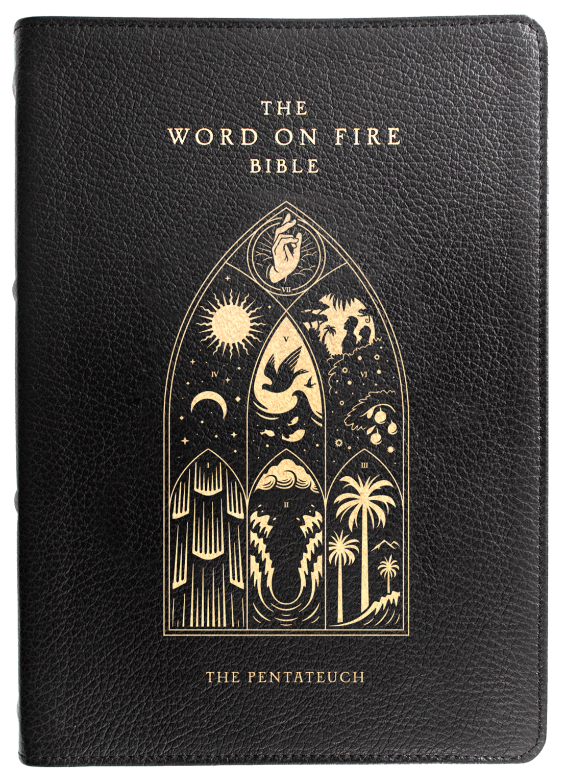 Support the Word on Fire Bible Project - Word on Fire