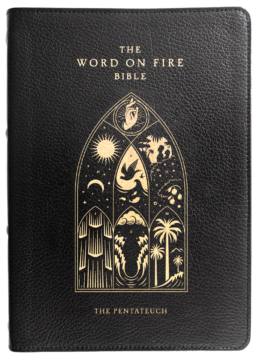 Support the Word on Fire Bible Project - Word on Fire