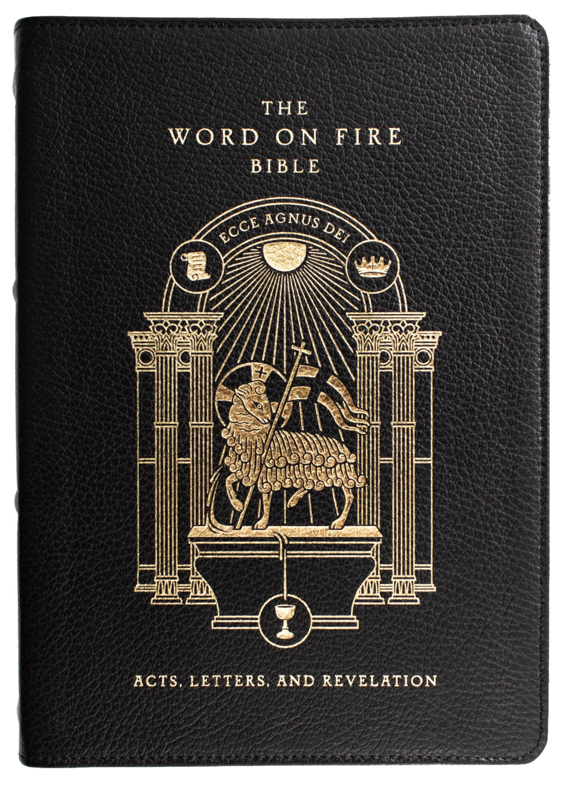 Support the Word on Fire Bible Project - Word on Fire