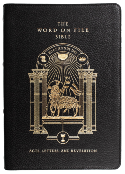 Support the Word on Fire Bible Project - Word on Fire