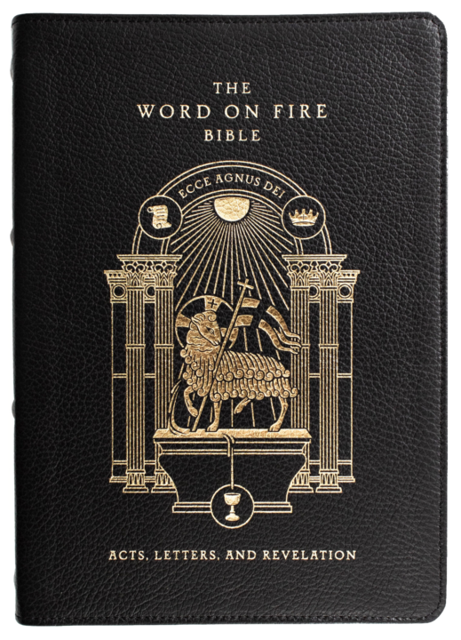 Support the Word on Fire Bible Project - Word on Fire