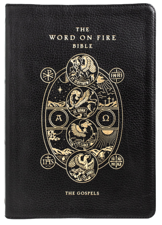 Support the Word on Fire Bible Project - Word on Fire