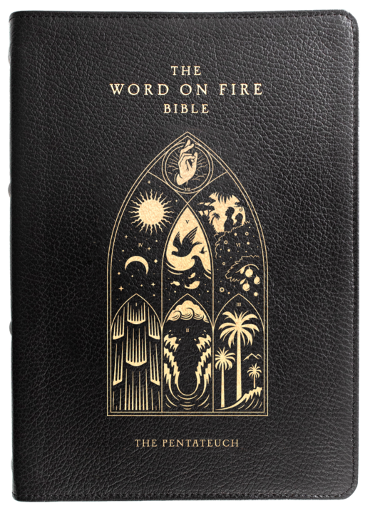 Support the Word on Fire Bible Project - Word on Fire