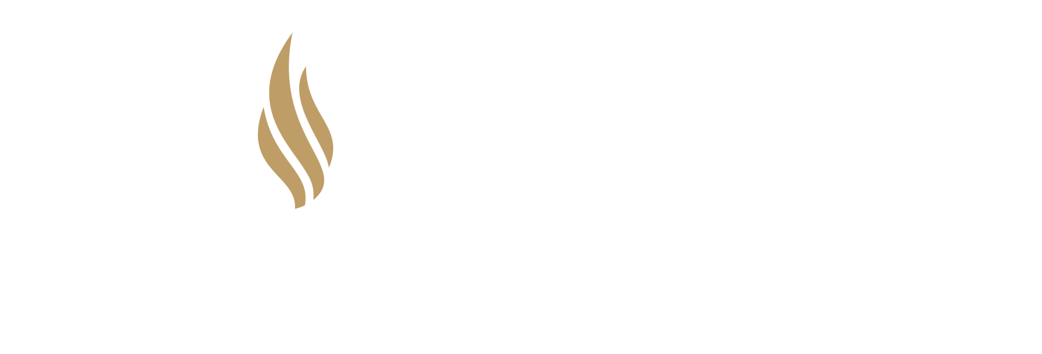 Word on Fire Publishing - Beauty, Goodness, and Truth