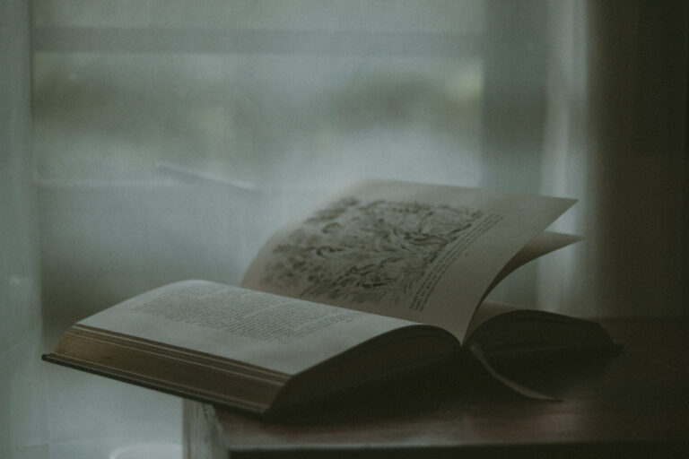 Dr. Holly Ordway, Author at Word on Fire