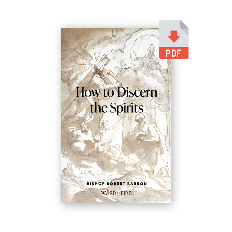 eBooks - Word on Fire