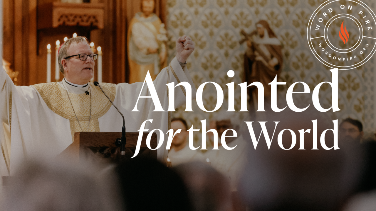 Homily - Word on Fire