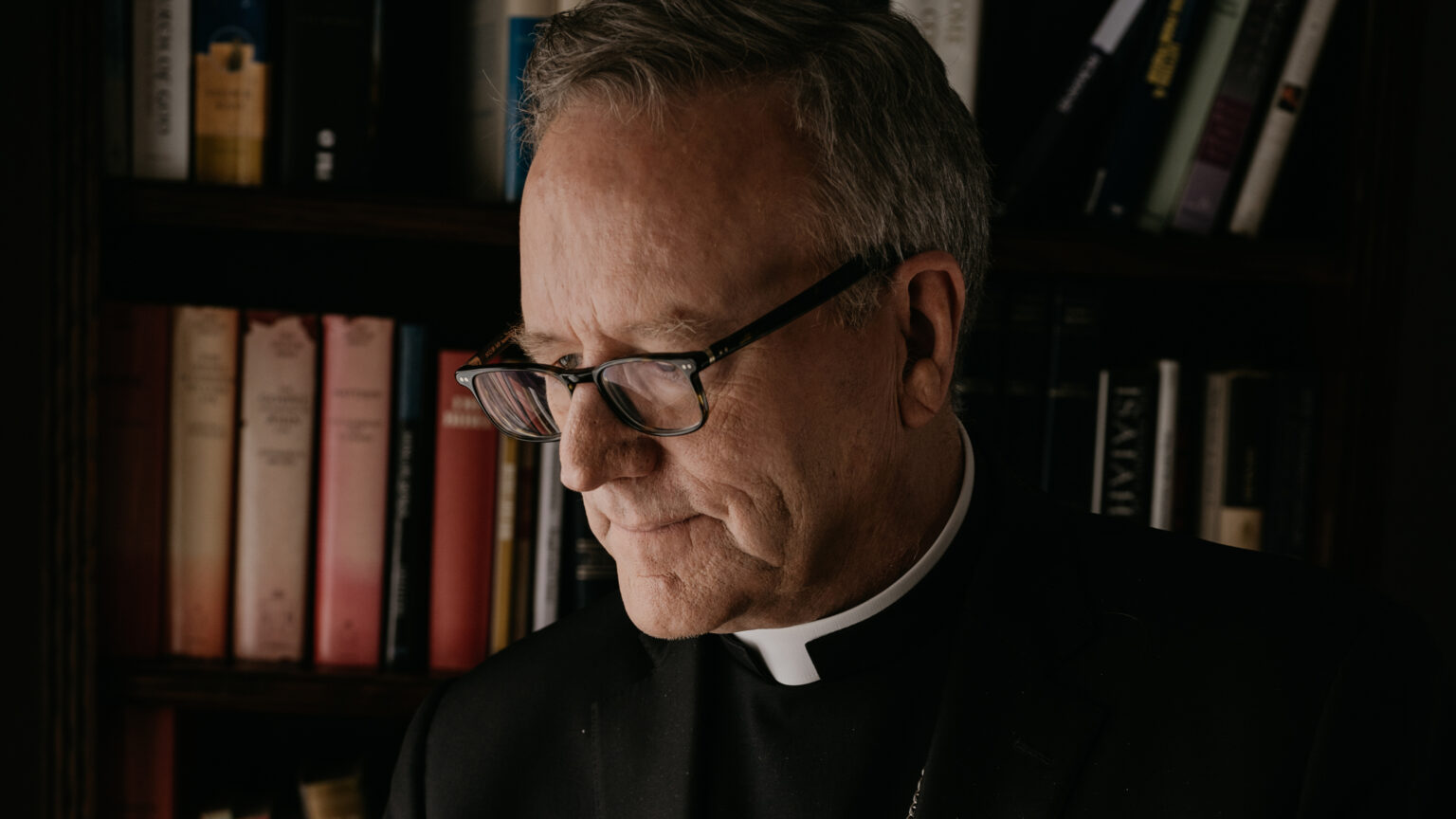 Background: The Theology of Robert Barron - Word on Fire