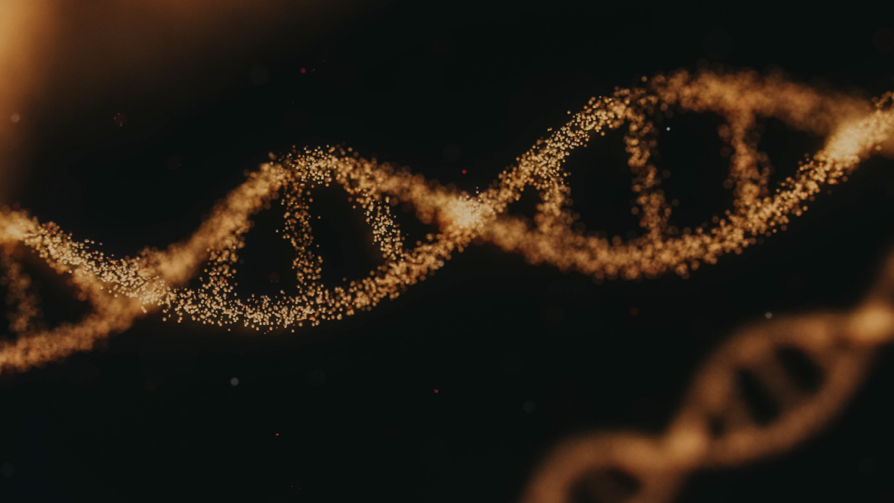 Brandon Vogt, Author at Word on Fire