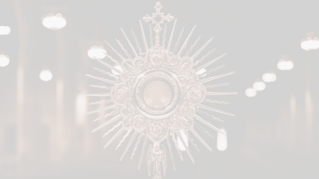 Holy Hour Prayer Cards - Online - Word on Fire