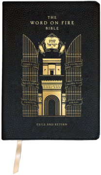 Support the Word on Fire Bible Project - Word on Fire