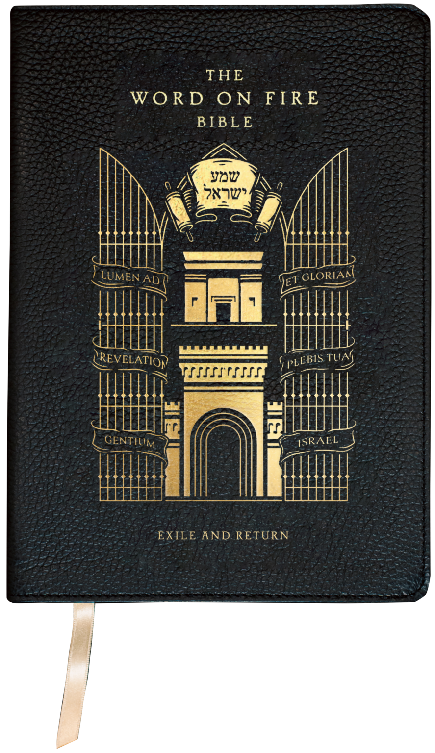 Support the Word on Fire Bible Project - Word on Fire