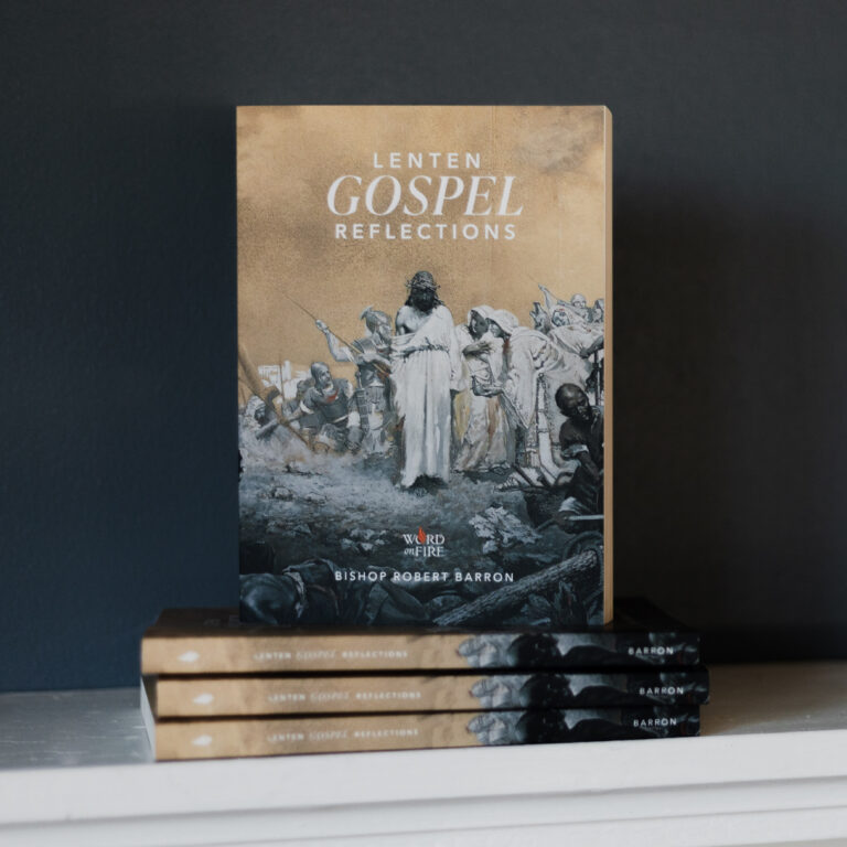 The Rosary (Joyful Mysteries) with Bishop Robert Barron - Word on Fire