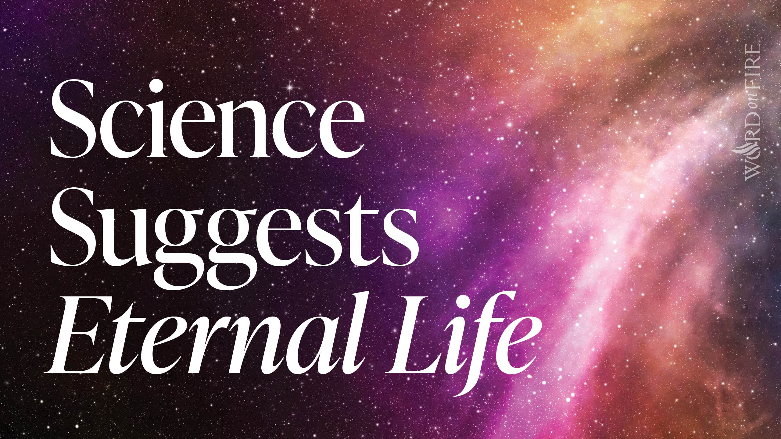 The Transcendent Body - Fr. Robert Spitzer - Word on Fire
