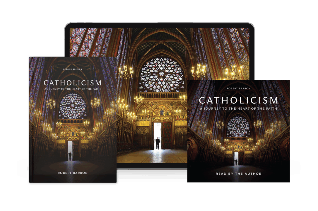 25th Anniversary - Catholicism 2nd Edition - Word on Fire