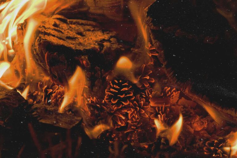 Katy Carl, Author at Word on Fire