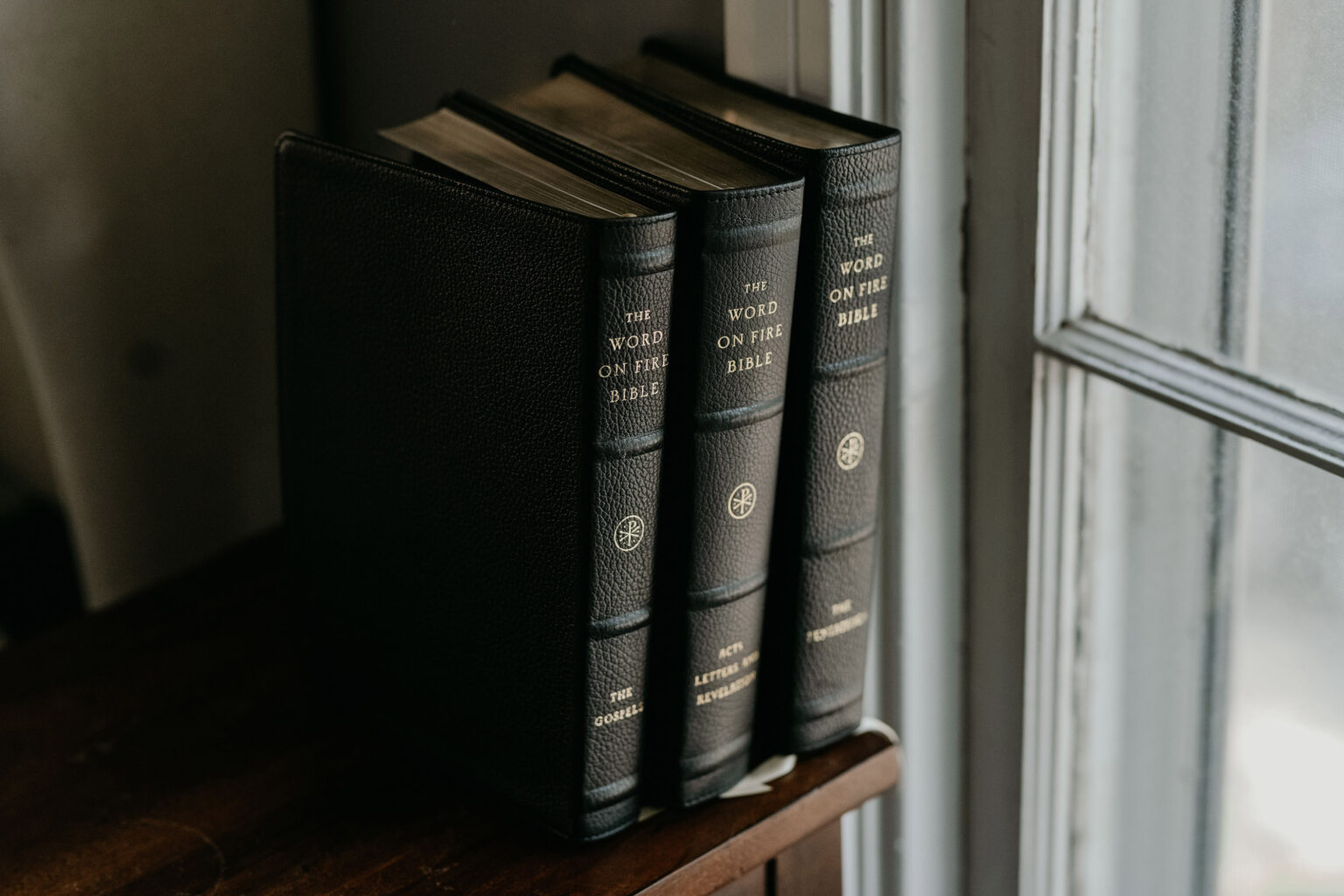 Word on Fire Publishing - Beauty, Goodness, and Truth